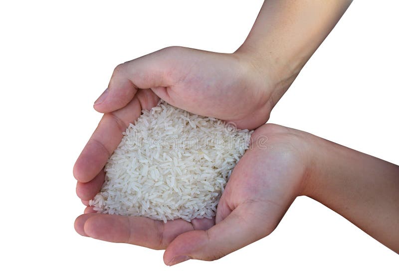 Rice in hand stock photo. Image of give, hungry, health - 53991406