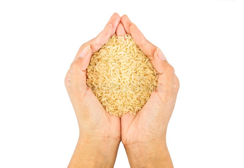 Rice in Hand in Isolate on White. Stock Image - Image of hunger ...