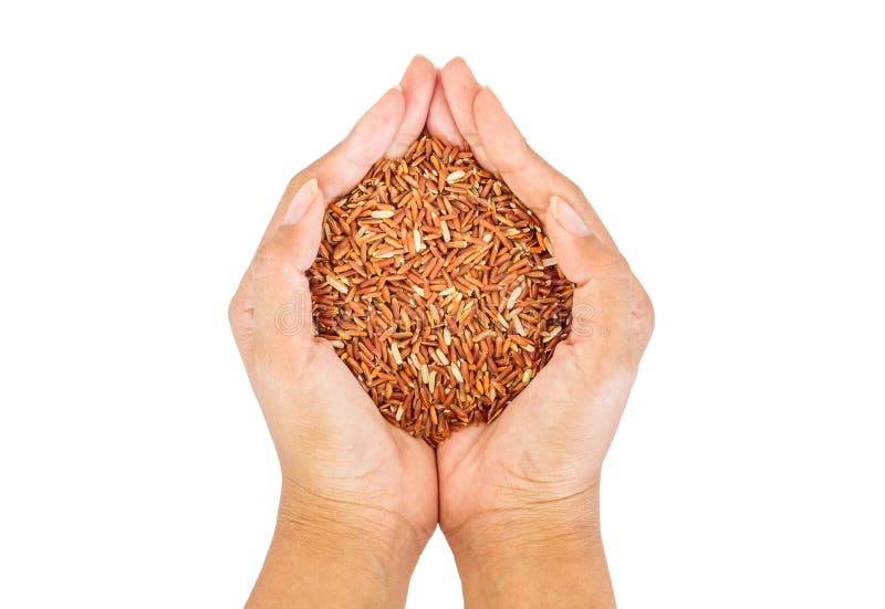 Rice in Hand in Isolate on White. Stock Photo - Image of background ...