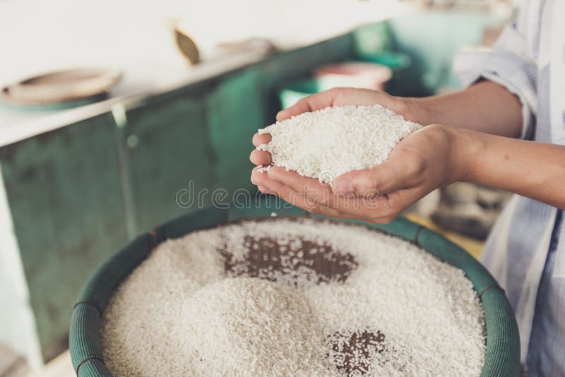 Rice in hand stock photo. Image of global, natural, hope - 53562482