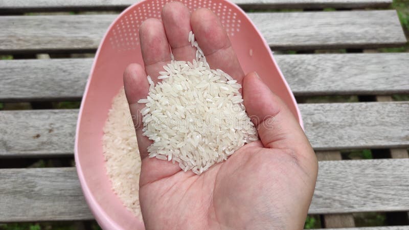 Rice in Hand with Wood Table Back Ground Stock Image - Image of flour ...