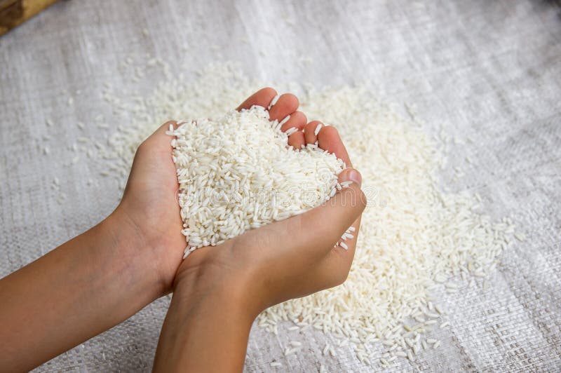 Hand dropping rice stock image. Image of life, global - 23805301