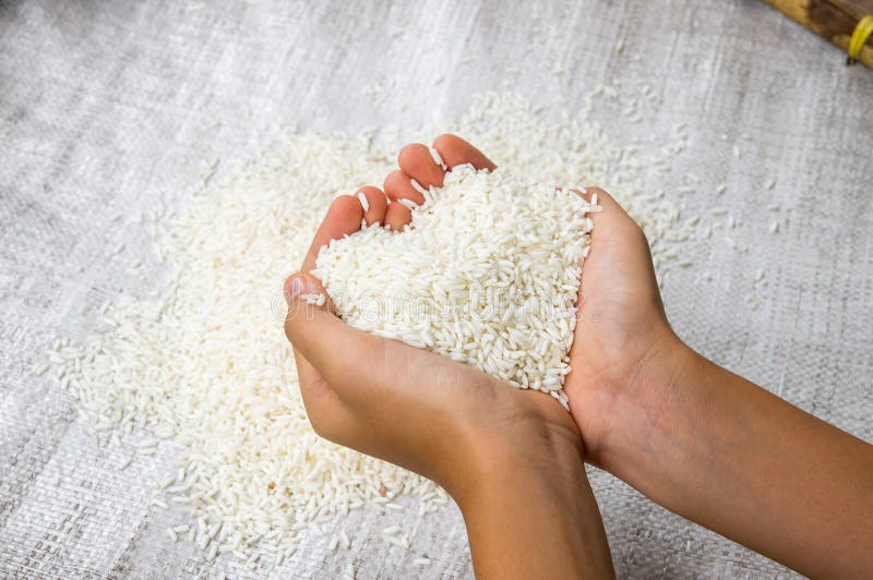 Rice on hand stock image. Image of fiber, healthy, background - 40386283