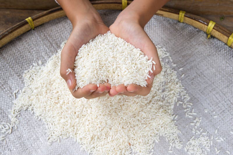 Rice on hand stock image. Image of organic, asia, hand - 40386329