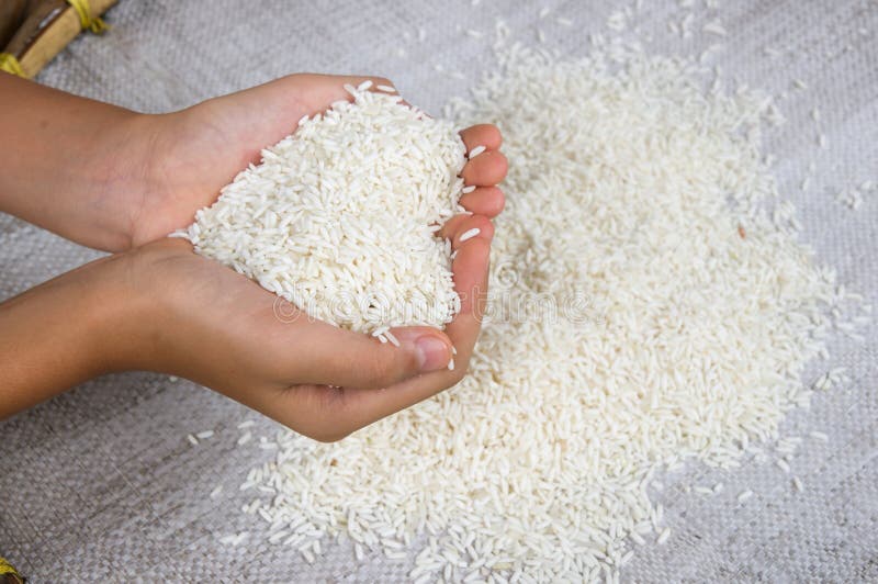 White and Brown Rice Held in Heart Shaped Hand Over White Rice ...