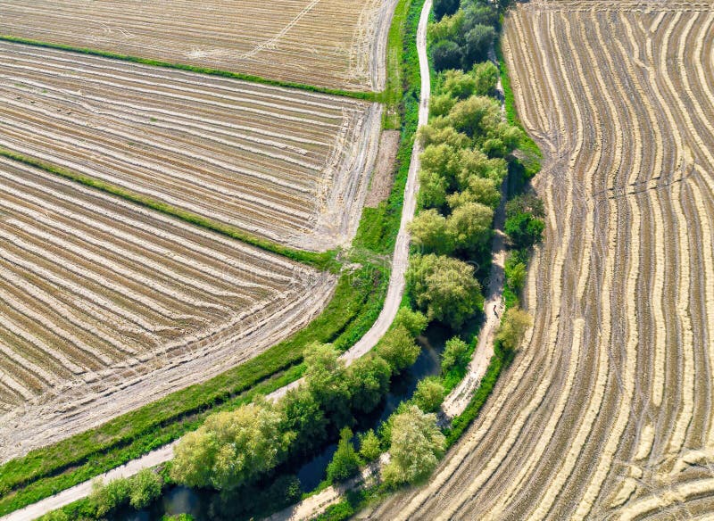 Rice Harvest and a River with Fresh Vegetation. Stock Image - Image of ...
