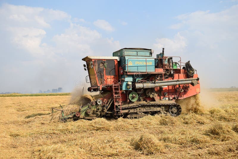 Rice harvesting editorial image. Image of tracked, rice - 83836660