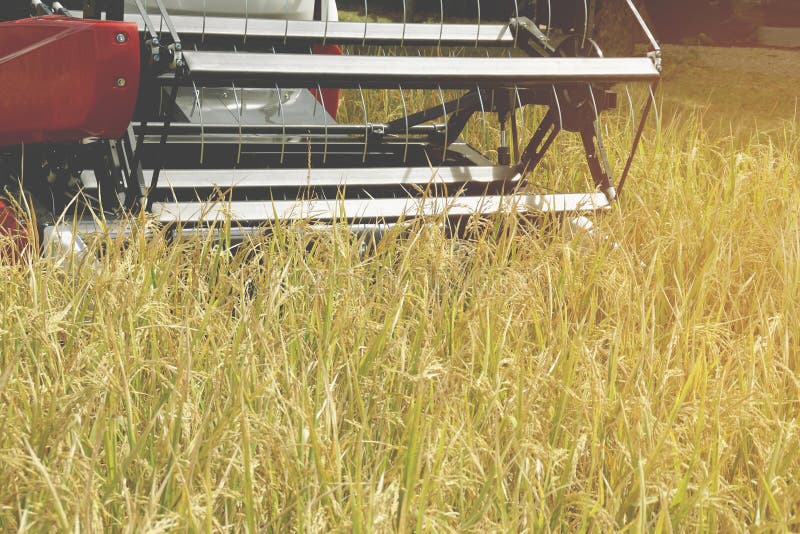 2,323 Rice Harvesting Machine Stock Photos - Free & Royalty-Free Stock ...