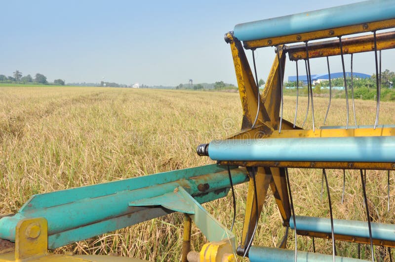 Rice Harvesting Part Machine with Rice Field Stock Photo - Image of ...