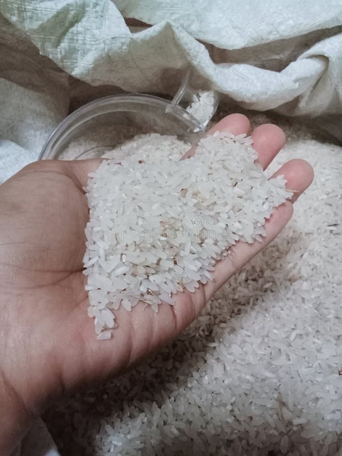 Rice that Has Been Milled into Rice, Ready To Be Consumed Stock Photo ...