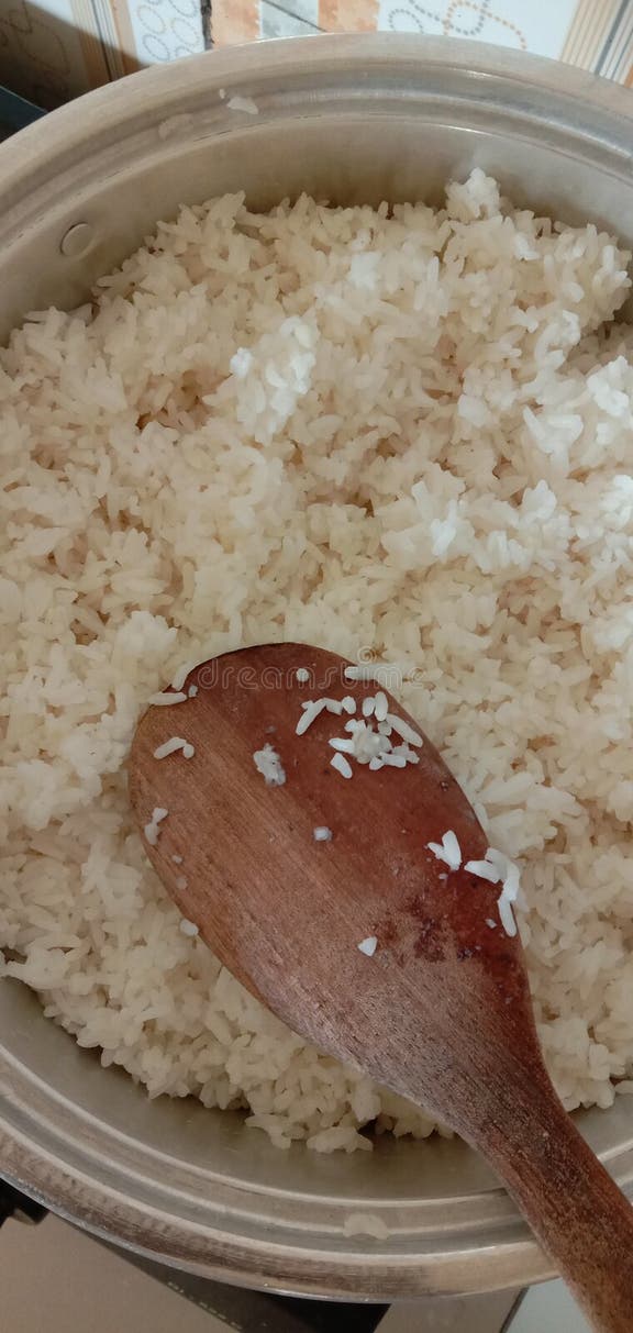 Rice that Has Been Processed into Rice Stock Photo - Image of fish ...