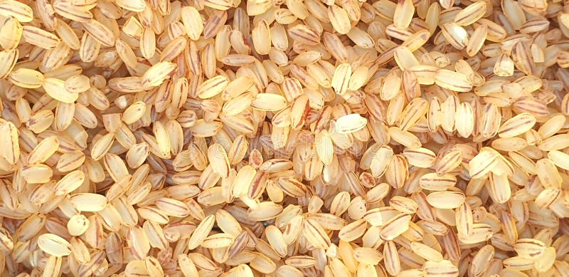 Rice Hd Closeup Pictures stock photo. Image of closeup - 320913868