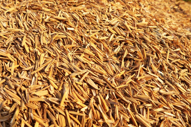 Rice hulls stock photo. Image of occupation, hulls, animals - 37039512