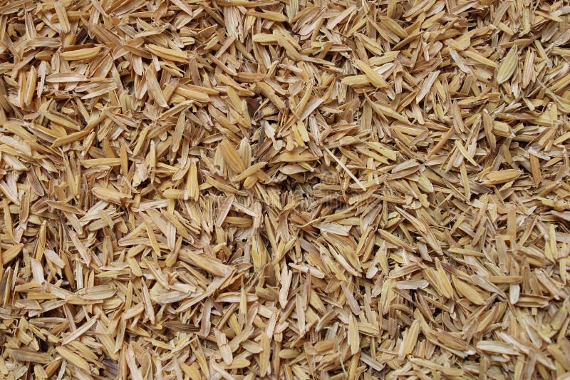 Rice husk background. stock image. Image of detail, food - 275112613