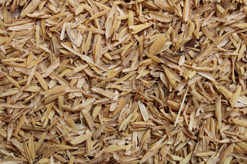 Rice husk background stock image. Image of abstract - 275112617