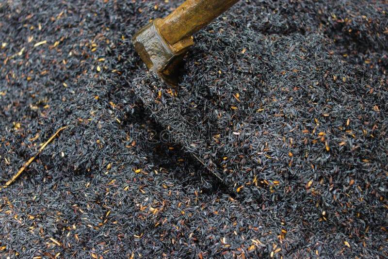 Rice Husk Ash (RHA) is Generated by the Burning of Rice Husk for ...