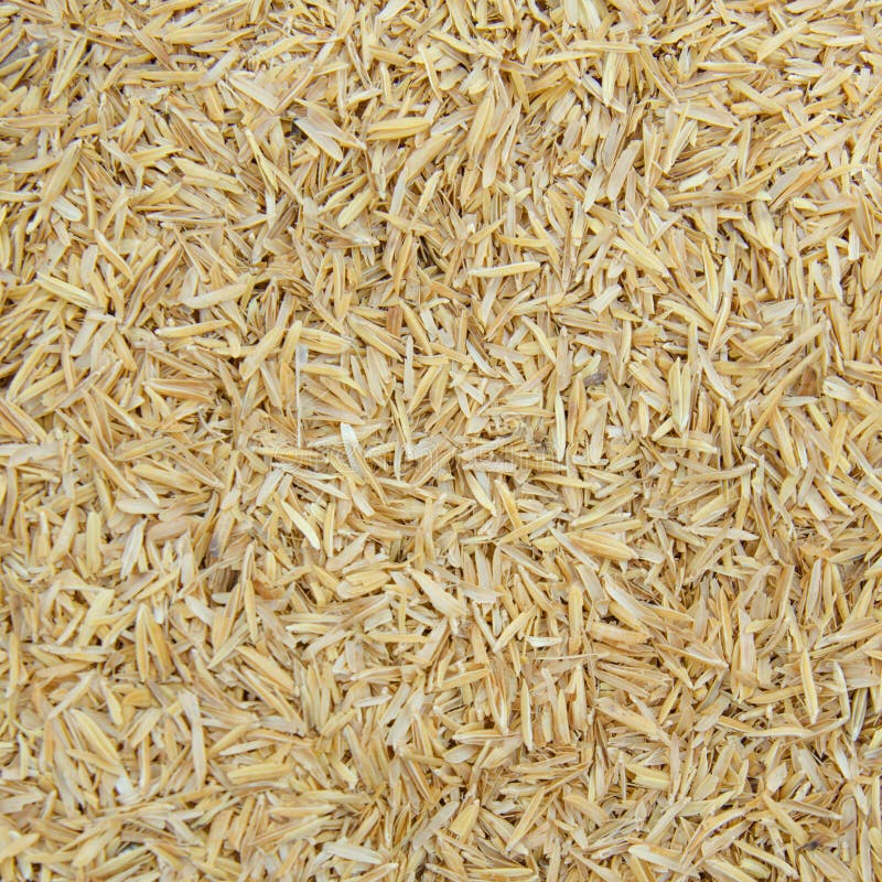 Rice husk. stock image. Image of abstract, nature, cultivation - 29395953
