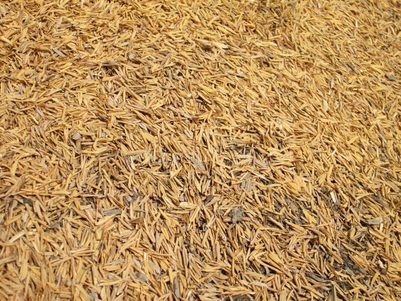 2,733 Rice Husk Photos - Free & Royalty-Free Stock Photos from Dreamstime