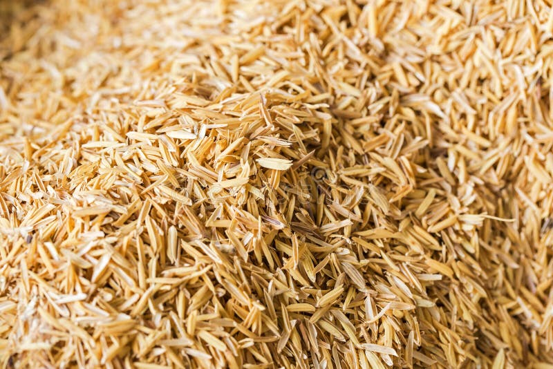 2,733 Rice Husk Photos - Free & Royalty-Free Stock Photos from Dreamstime