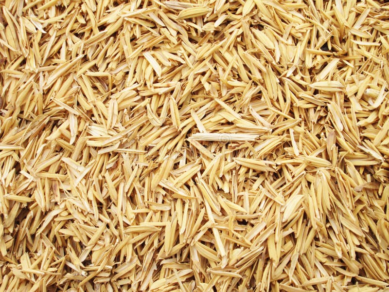 2,733 Rice Husk Photos - Free & Royalty-Free Stock Photos from Dreamstime