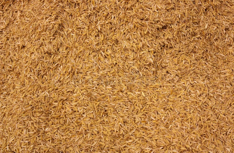 Rice husk stock photo. Image of asia, textured, texture - 38968296