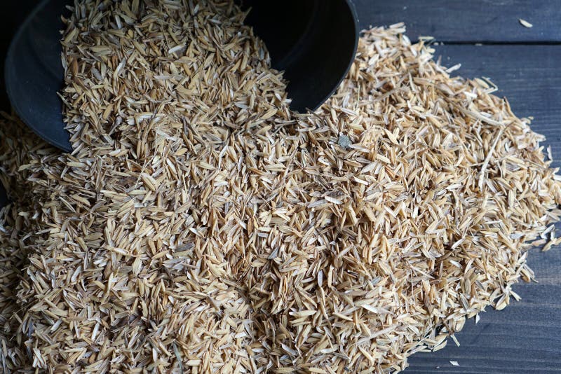 Rice Husks or Rice Hulls are One of the Best Growing Media for ...