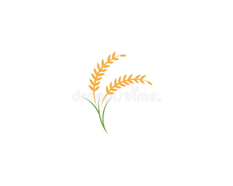 Rice Barn Stock Illustrations – 455 Rice Barn Stock Illustrations ...