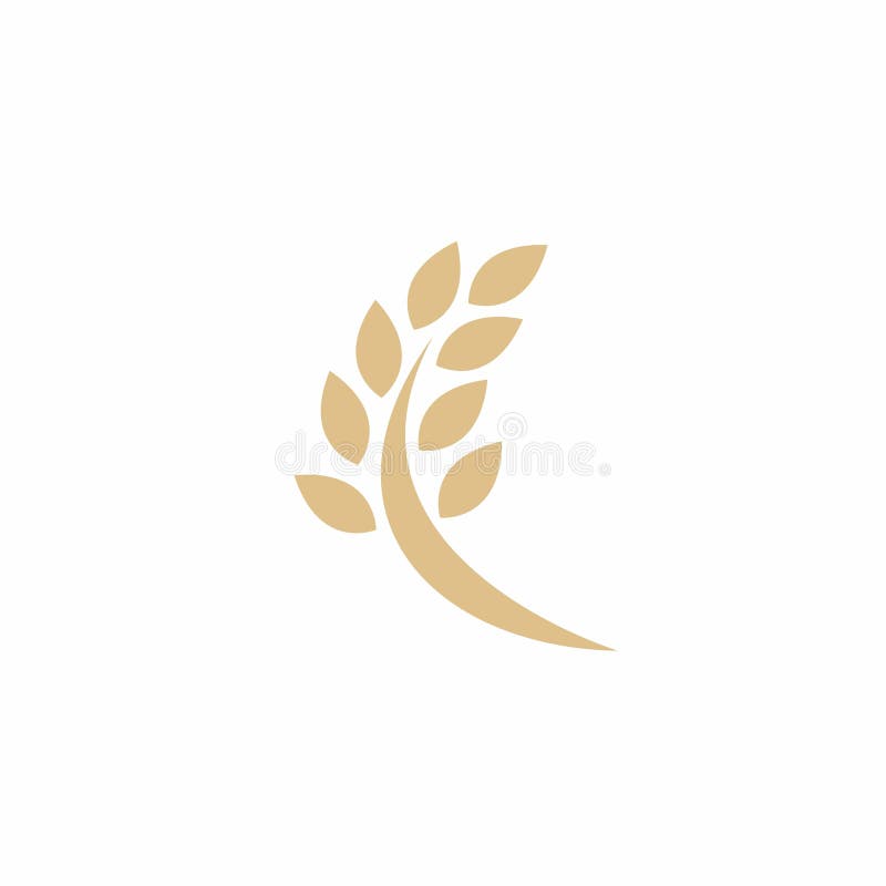 Rice Icon Vector. Wheat Logo Design Stock Vector - Illustration of ...