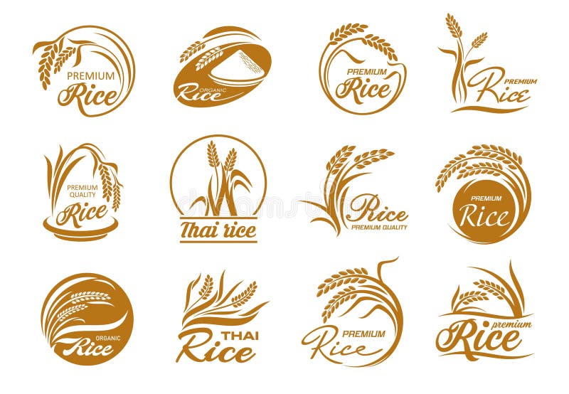 Rice Icons with Cereal Plants and Paddy Grains Stock Vector ...