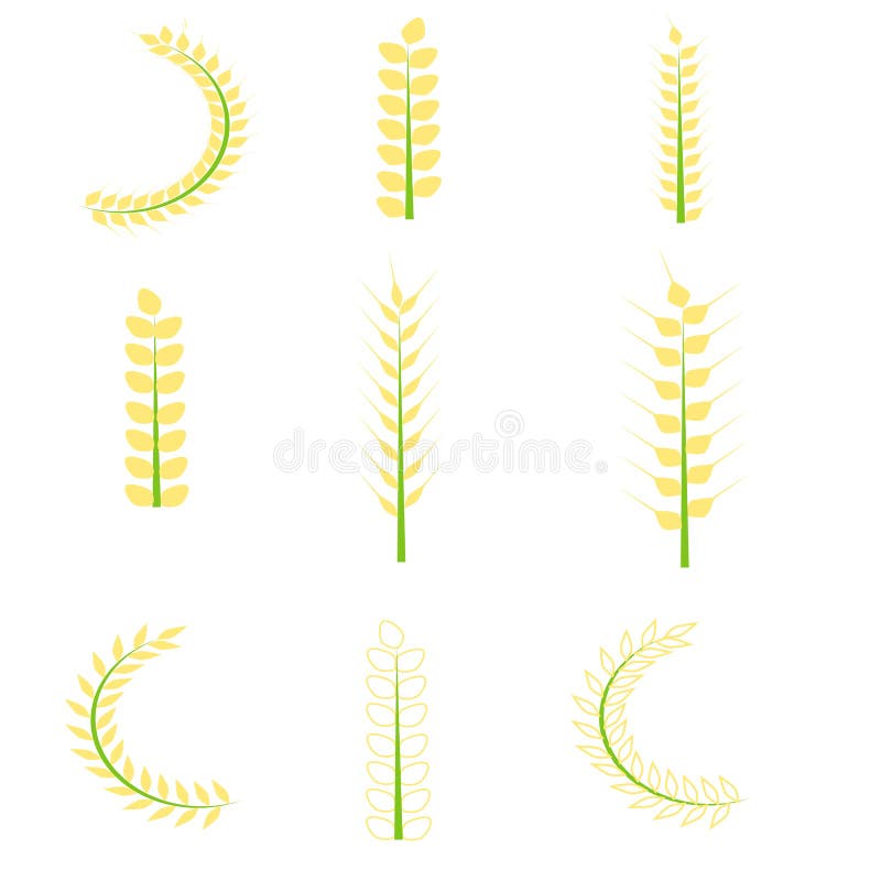 Rice icons set vector stock vector. Illustration of nature - 97851167