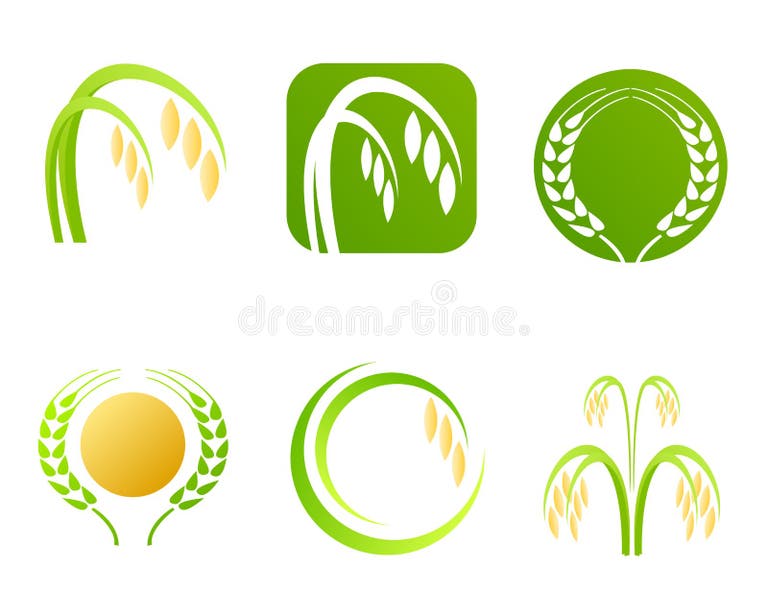 Rice Grains Icon Stock Illustrations – 1,465 Rice Grains Icon Stock ...