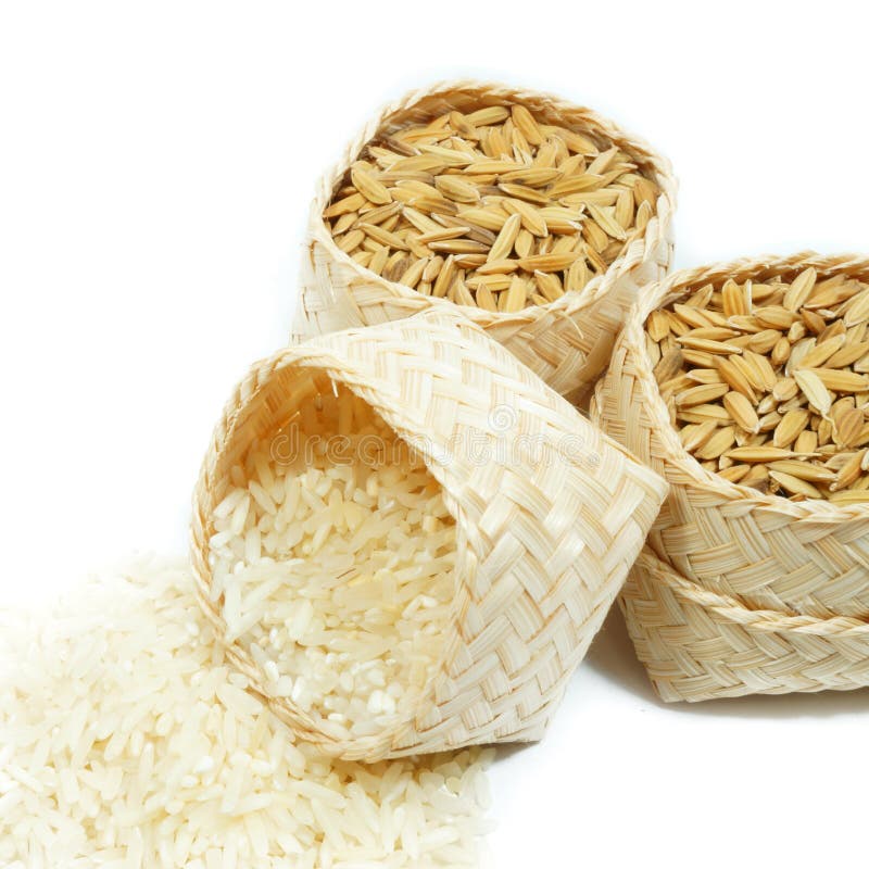 Rice isolated stock image. Image of rice, grain, white - 33280415