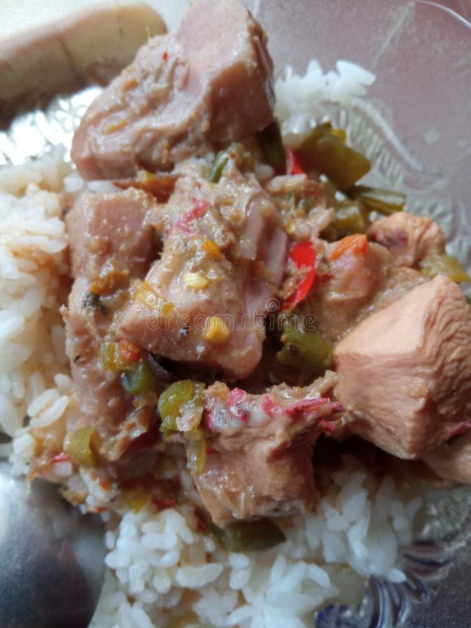 Rice and Jackfruit Vegetable Stock Photo - Image of salad, meat: 289822386