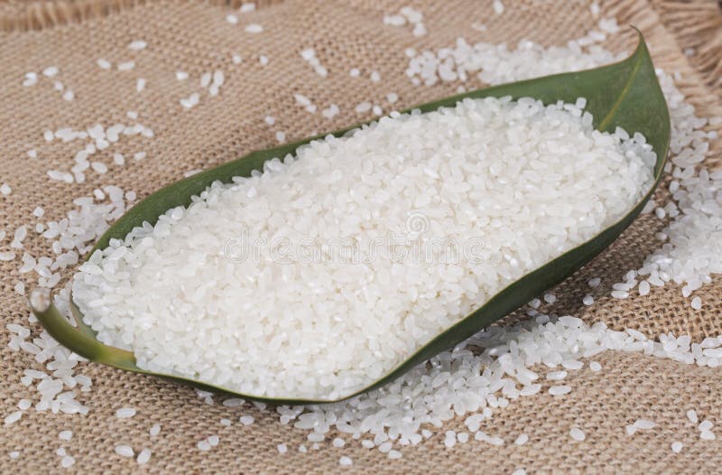 Rice and leaf stock image. Image of idea, natural, detail - 91843997