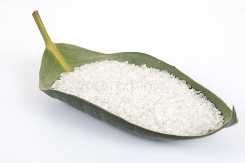Rice and leaf stock photo. Image of idea, asia, creative - 91844068