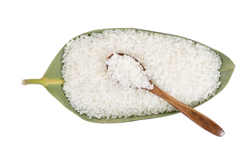 Rice and leaf stock image. Image of healthy, background - 91844159