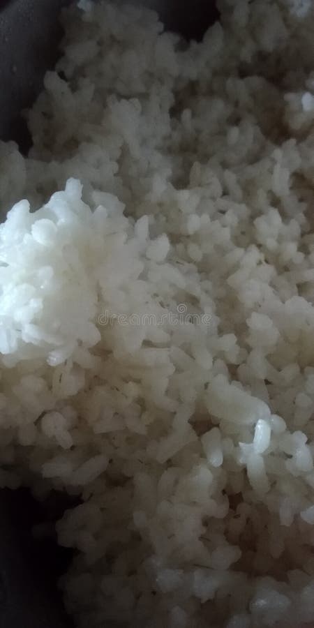 Rice that Looks Good To the Eye Stock Image - Image of rice, looking ...