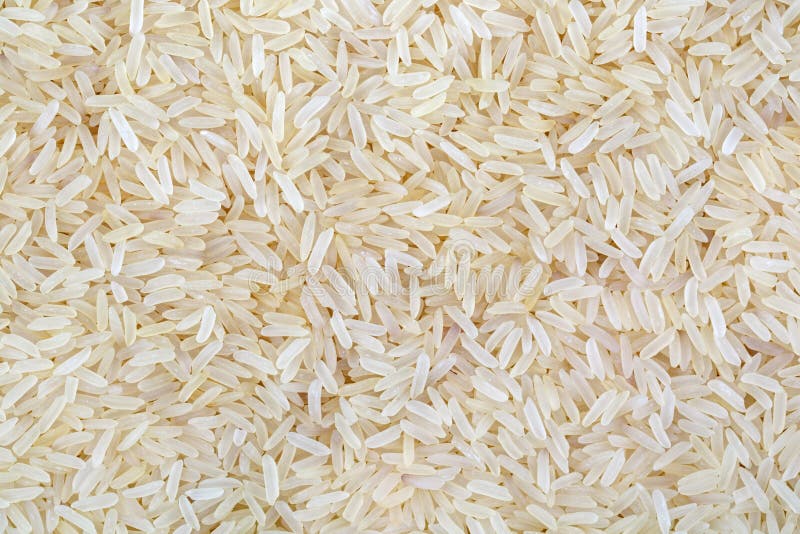 Lots of rice stock image. Image of agriculture, medium - 180397655