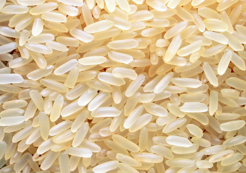 Rice macro texture stock image. Image of grain, texture - 64786297