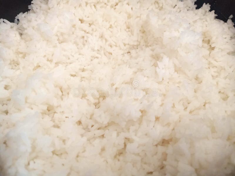Rice in magic com stock photo. Image of food, magicco - 267873408