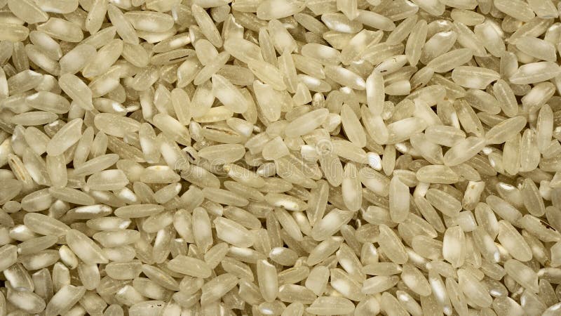 Rice is the Main Food for Half of Humanity. Stock Image - Image of diet ...