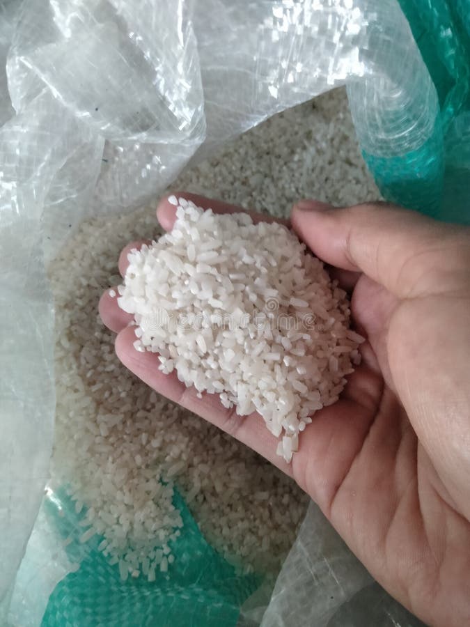 Rice Main Food in Indonesia Asia Stock Photo - Image of rice, asia ...