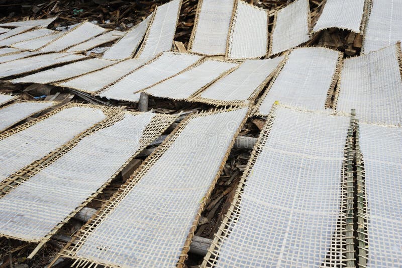 Rice Mats stock photo. Image of drying, mats, outdoors - 39536074