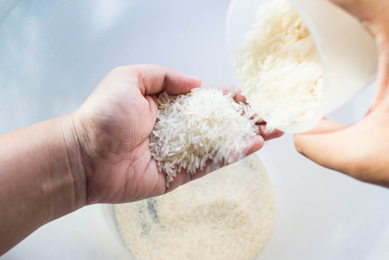 Rice Measuring Cup in Your Hand Stock Image - Image of grain, economic ...