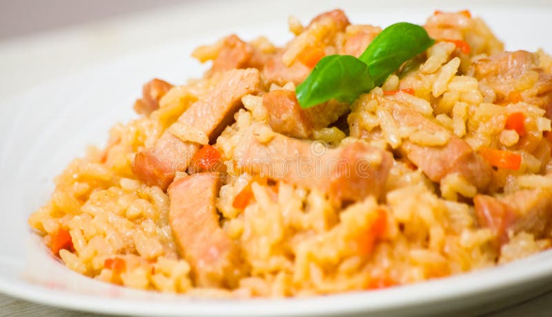 Rice with meat stock image. Image of food, beef, culinary - 31621081
