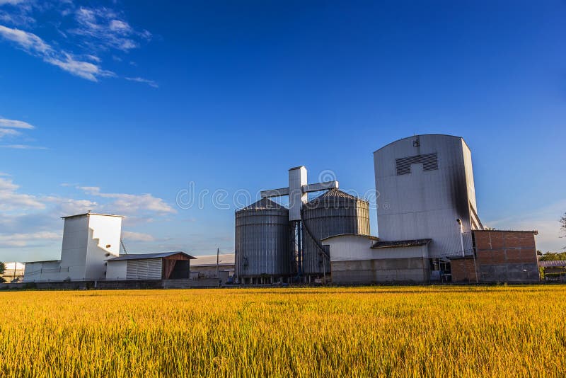 Rice mill stock image. Image of industry, machine, thailand - 46827753