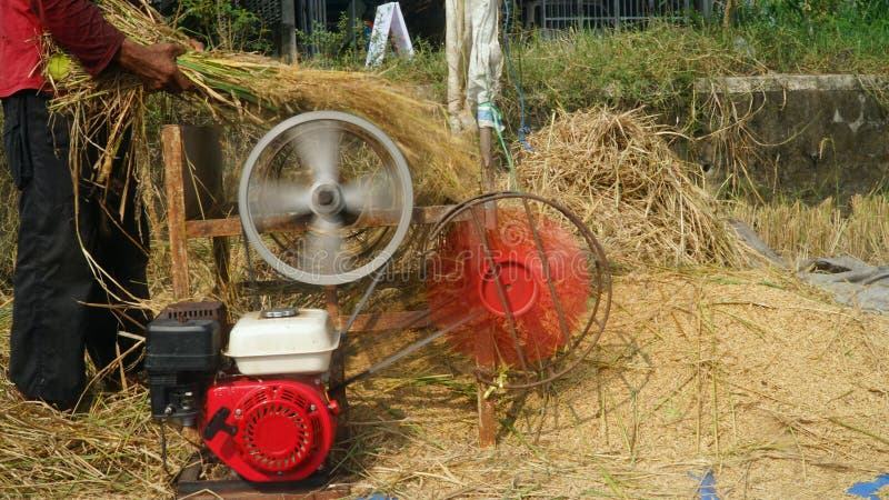 The Rice Mill Machine is Rotating To Grind Rice Stock Image - Image of ...