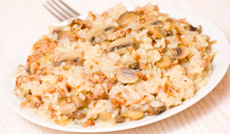 Rice with Minced Meat and Mushrooms Stock Image - Image of bowl ...