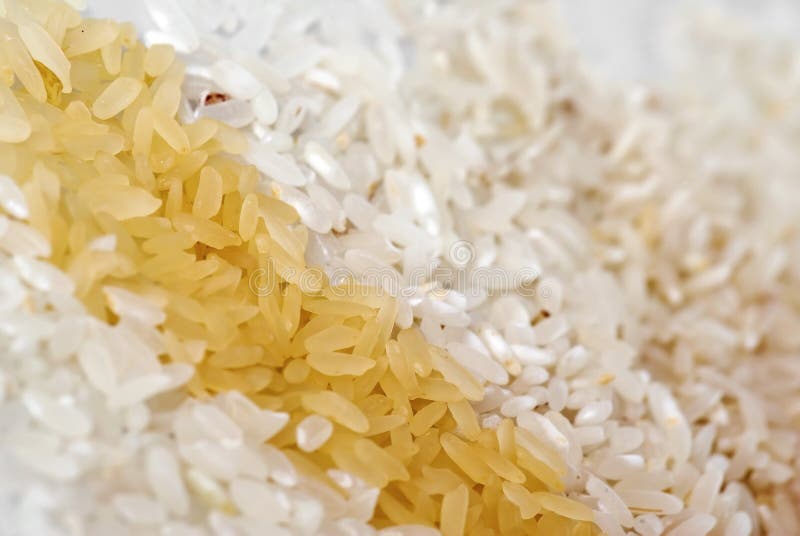 Rice Mix stock image. Image of mixture, macro, grain, asia - 7930607