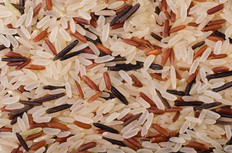 Rice mix stock image. Image of food, cereal, agriculture - 39165259